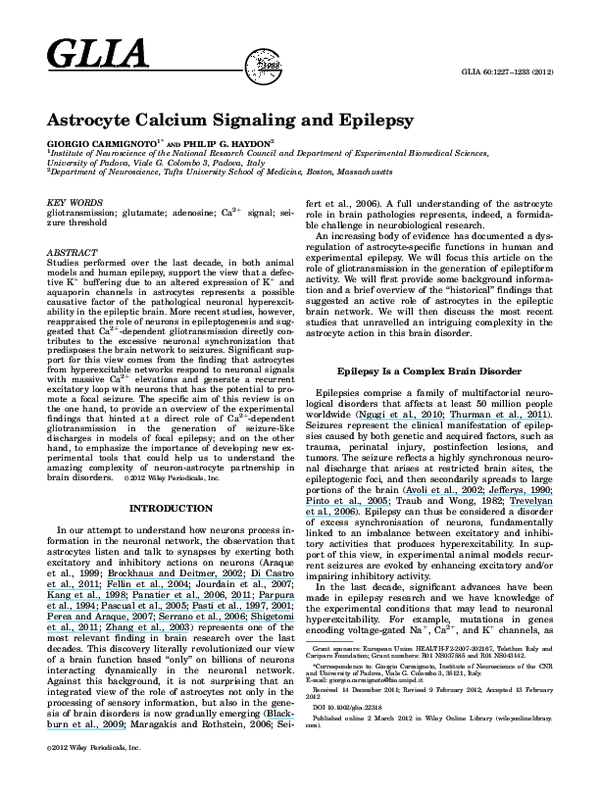 (PDF) Astrocyte calcium signaling and epilepsy