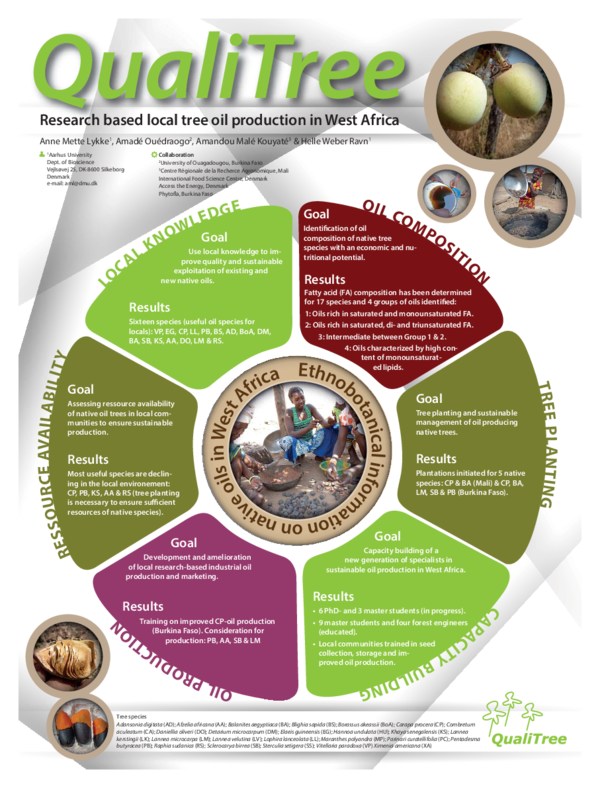 QualiTree: Research based local tree oil production in West Africa
