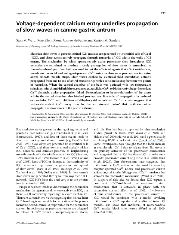 (PDF) Voltage-dependent calcium entry underlies propagation of slow ...