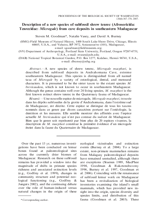 (PDF) Description of a new species of subfossil shrew tenrec ...