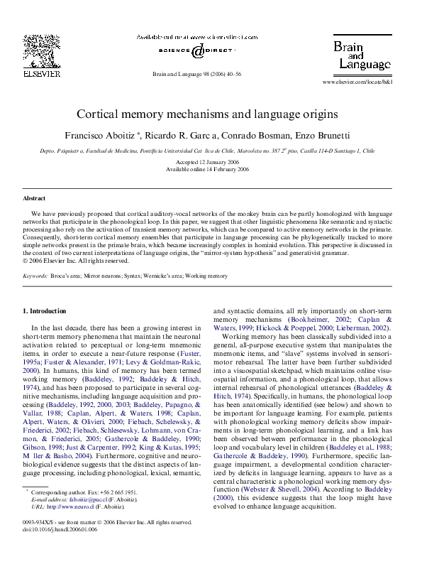 (PDF) Cortical memory mechanisms and language origins