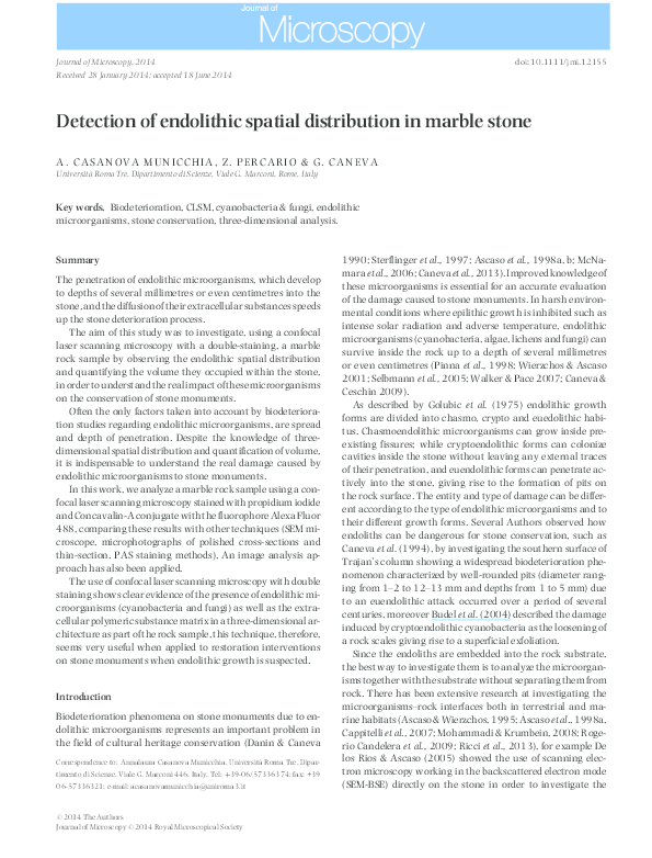 Pdf Detection Of Endolithic Spatial Distribution In Marble Stone