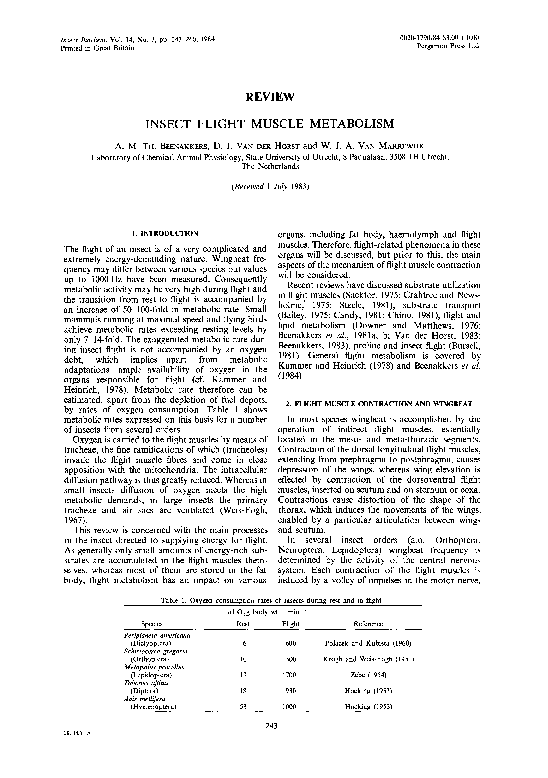 (PDF) Insect flight muscle metabolism