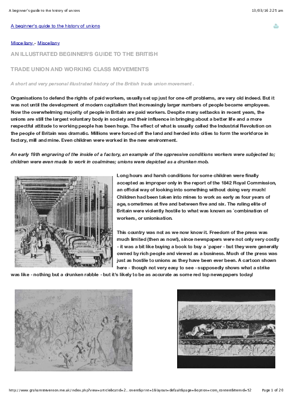 (PDF) AN ILLUSTRATED BEGINNER'S GUIDE TO THE BRITISH TRADE UNION AND ...