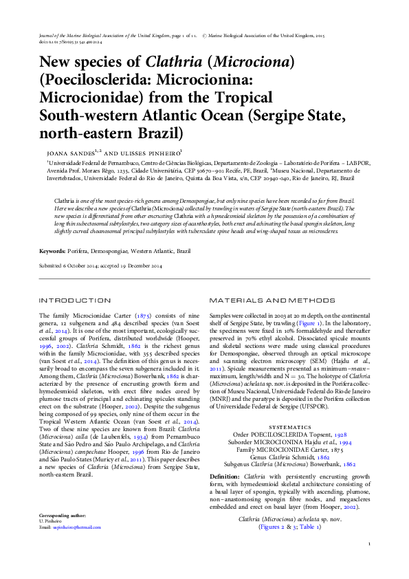 (PDF) New species of Clathria (Microciona) (Poecilosclerida ...