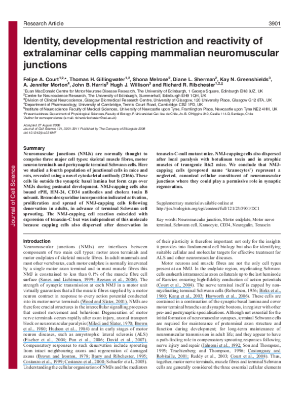 (PDF) Identity, developmental restriction and reactivity of ...