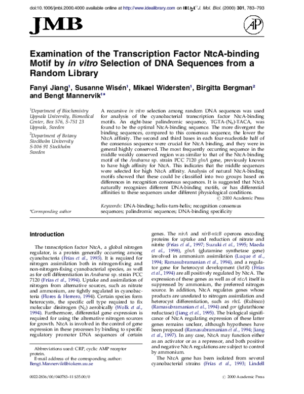 (PDF) Examination of the transcription factor NtcA-binding motif by in ...