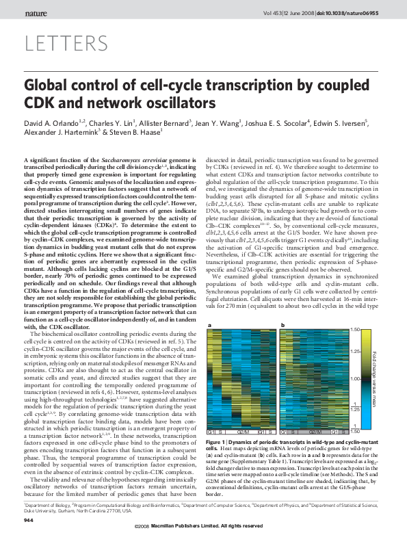 (PDF) Global control of cell-cycle transcription by coupled CDK and network oscillators
