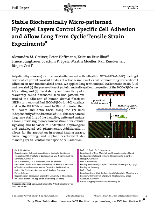 (PDF) Stable Biochemically Micro-patterned Hydrogel Layers Control ...