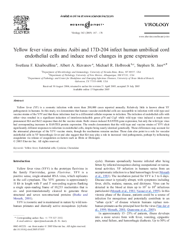 (PDF) Yellow fever virus strains Asibi and 17D-204 infect human ...