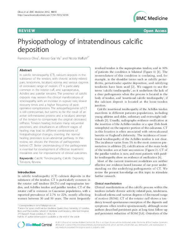 (PDF) Physiopathology of intratendinous calcific deposition