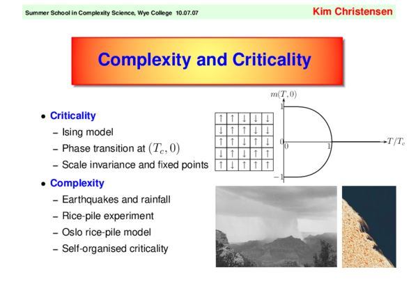(PDF) Complexity and criticality