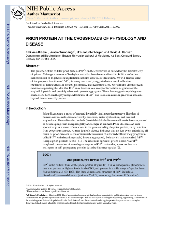 (PDF) β-Cleavage of the prion protein in the human eye: Implications ...