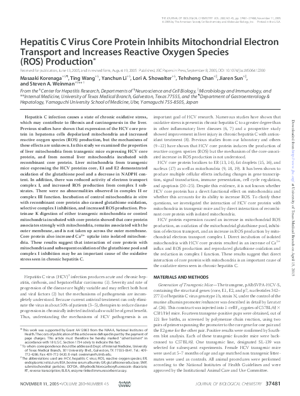(PDF) Hepatitis C Virus Core Protein Inhibits Mitochondrial Electron ...