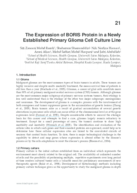 (PDF) Boris Book Chapter