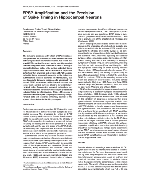 (PDF) EPSP Amplification and the Precision of Spike Timing in ...