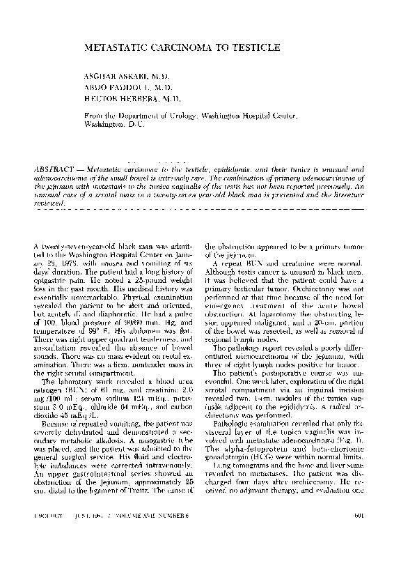 (PDF) Metastatic carcinoma to testicle