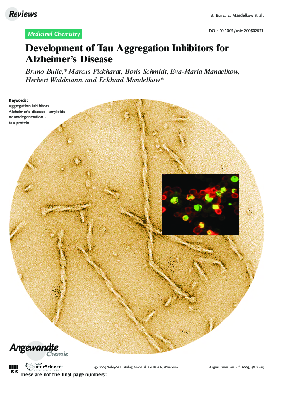 (PDF) Development of Tau Aggregation Inhibitors for Alzheimer's Disease