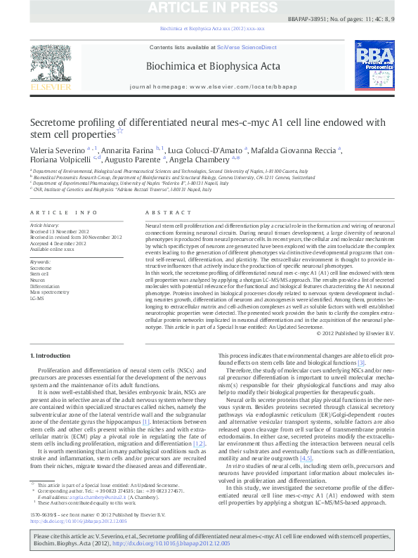 PDF Secretome Profiling Of Differentiated Neural Mes c myc A1 Cell Line Endowed With Stem Cell PDF Secretome Profiling Of Differentiated Neural Mes c myc A1 Cell Line Endowed With Stem Cell