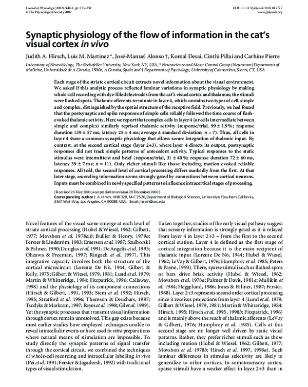 (PDF) Synaptic physiology of the flow of information in the cat's visual cortex in vivo
