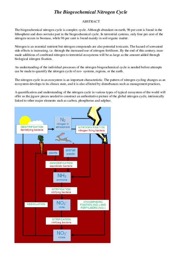 (DOC) The Biogeochemical Nitrogen Cycle
