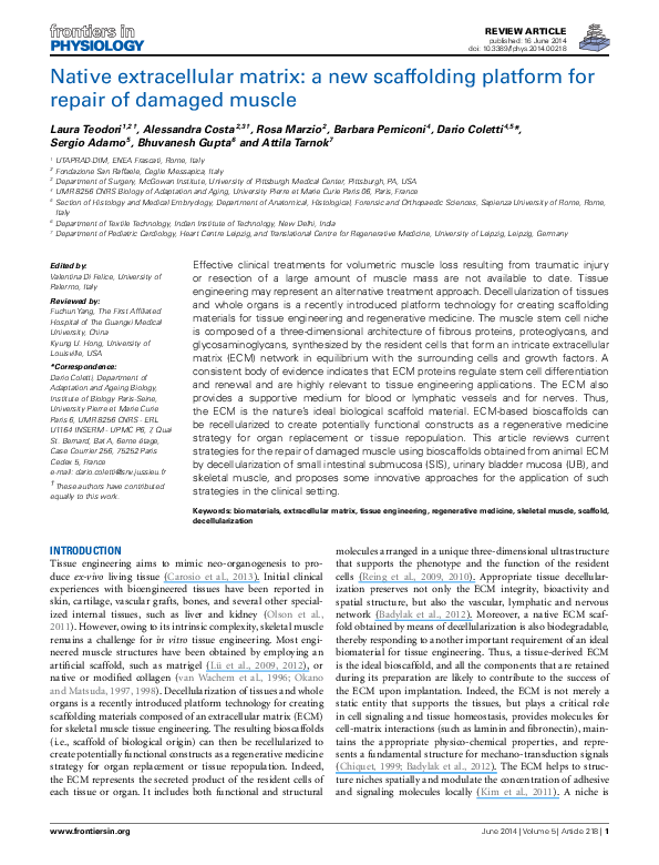 (PDF) Native extracellular matrix: a new scaffolding platform for ...