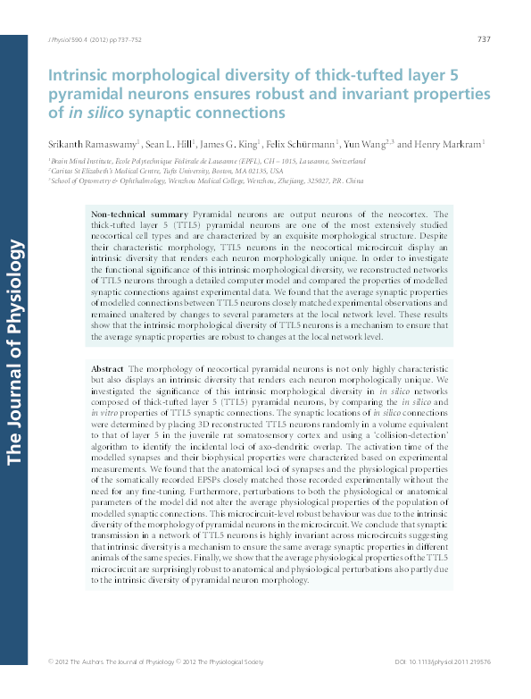 (PDF) Intrinsic morphological diversity of thick-tufted layer 5 pyramidal neurons ensures robust ...