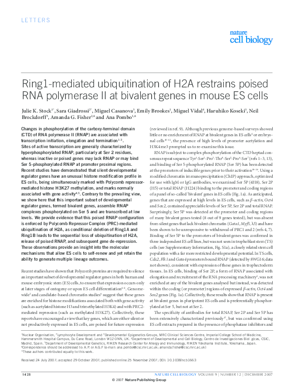 (PDF) Ring1-mediated ubiquitination of H2A restrains poised RNA ...