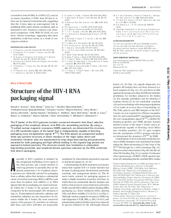 (PDF) RNA structure. Structure of the HIV-1 RNA packaging signal ...