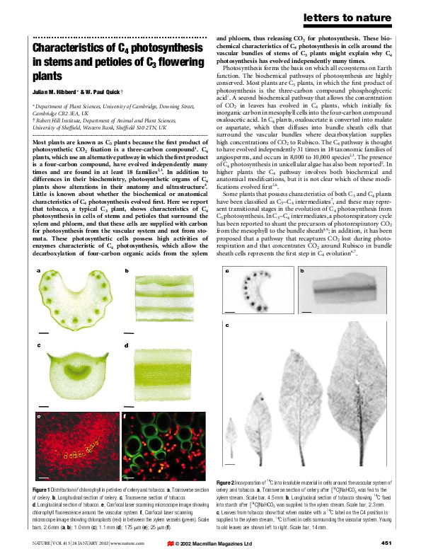 (PDF) Characteristics of C4 photosynthesis in stems and petioles of C3 ...