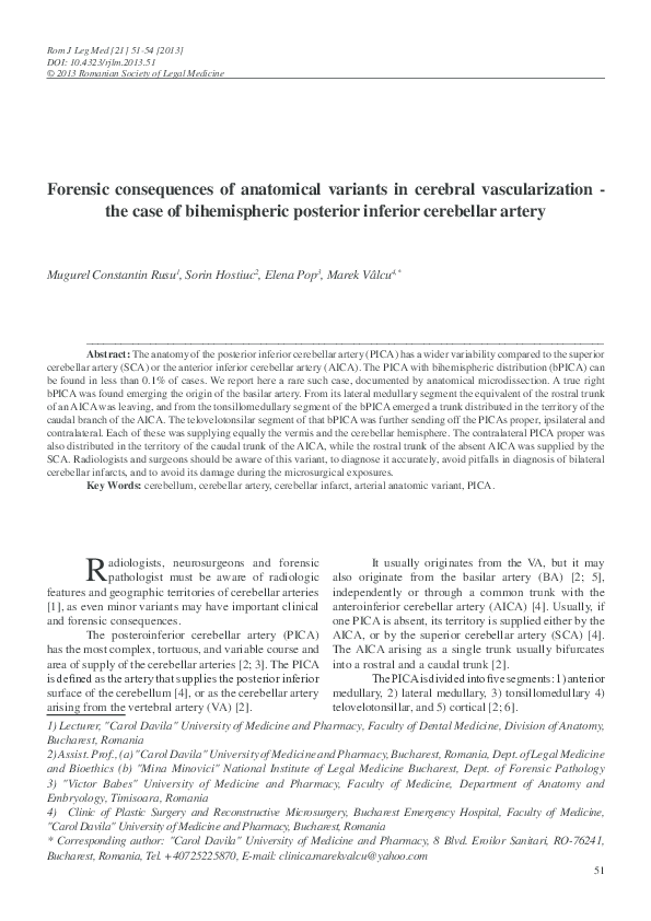 (PDF) Forensic consequences of anatomical variants in cerebral ...