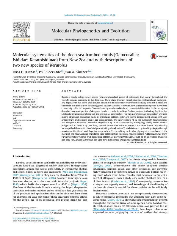 (PDF) Molecular systematics of the deep-sea bamboo corals (Octocorallia ...