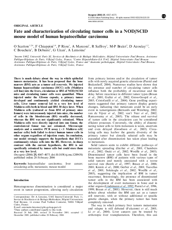 (PDF) Fate and characterization of circulating tumor cells in a NOD ...