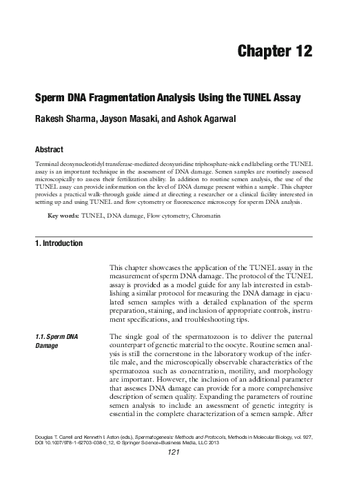 (PDF) Sperm DNA Fragmentation Analysis Using the TUNEL Assay