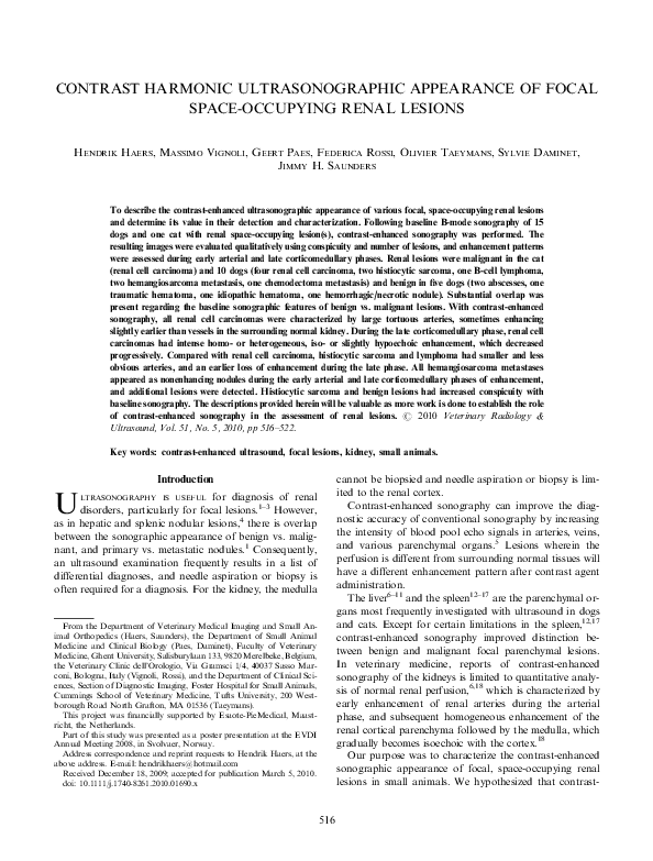 (PDF) Contrast Harmonic Ultrasonographic Appearance of Focal Space ...