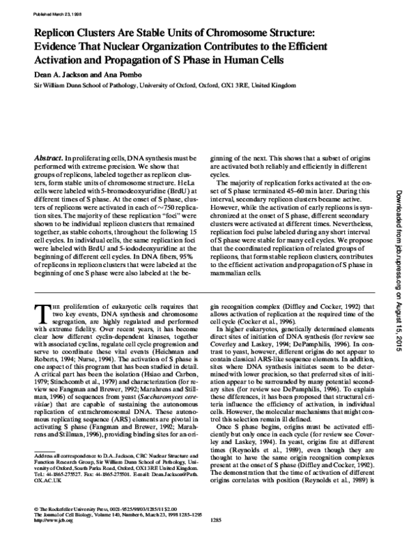(PDF) Replicon Clusters Are Stable Units of Chromosome Structure ...