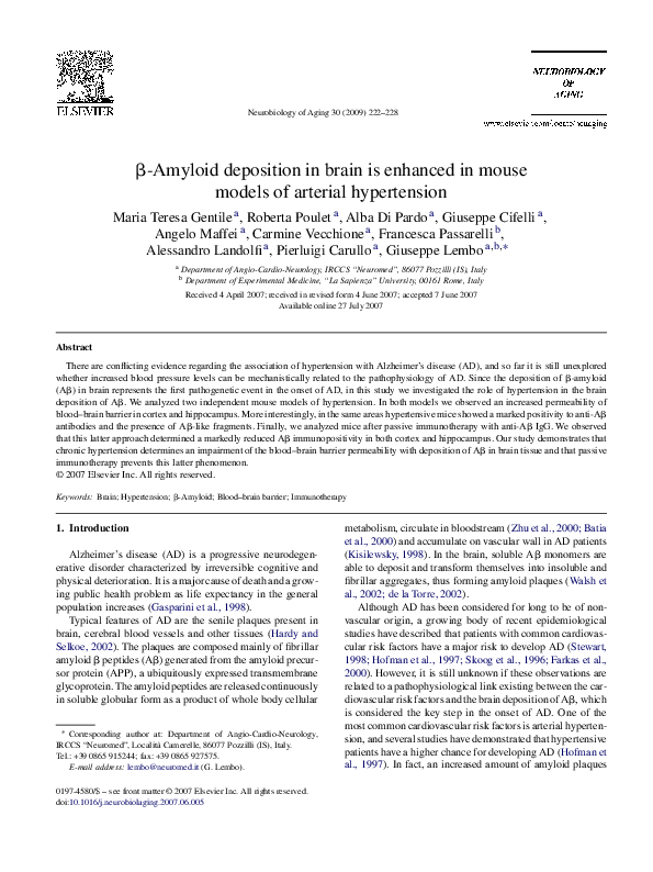 (PDF) Hypertension Enhances β-Amyloid Deposition in Mouse Brain