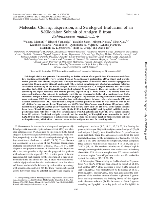 (PDF) Molecular Cloning, Expression, and Serological Evaluation of an 8 ... (PDF) Molecular Cloning, Expression, and Serological Evaluation of an 8 ...