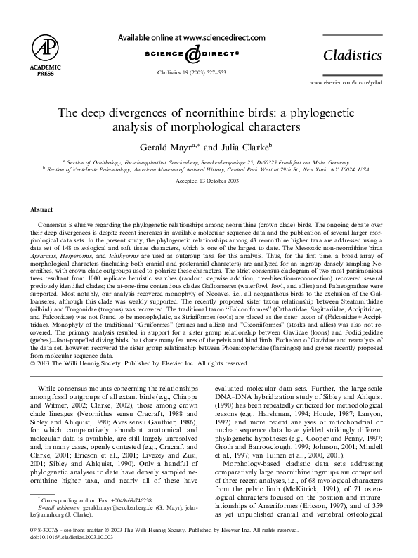 (PDF) The deep divergences of neornithine birds: a phylogenetic ...