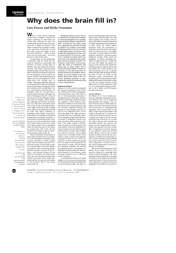 (PDF) Why does the brain fill in?