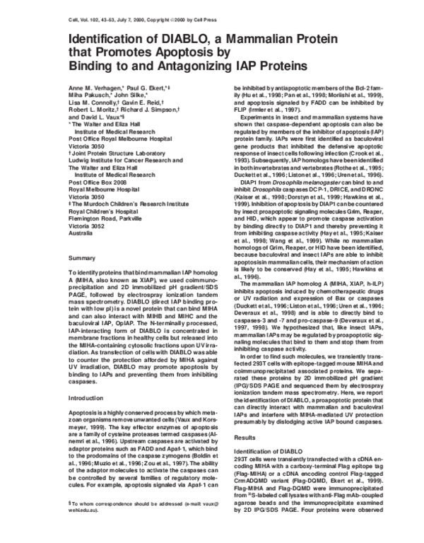(PDF) Identification of DIABLO, a Mammalian Protein that Promotes ...