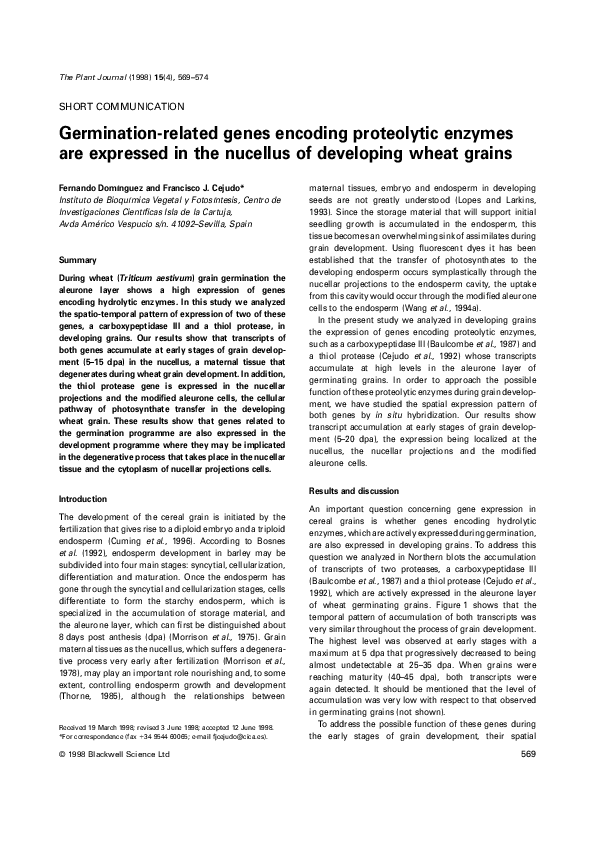 (PDF) Germination-related genes encoding proteolytic enzymes are ...