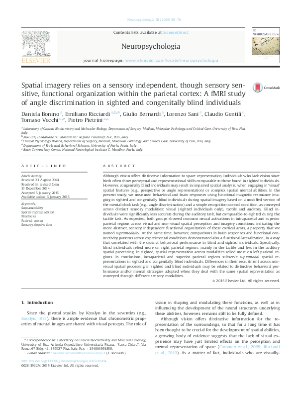 Pdf Spatial Representation And Processing In The Congenitally Blind Tom Ormerod