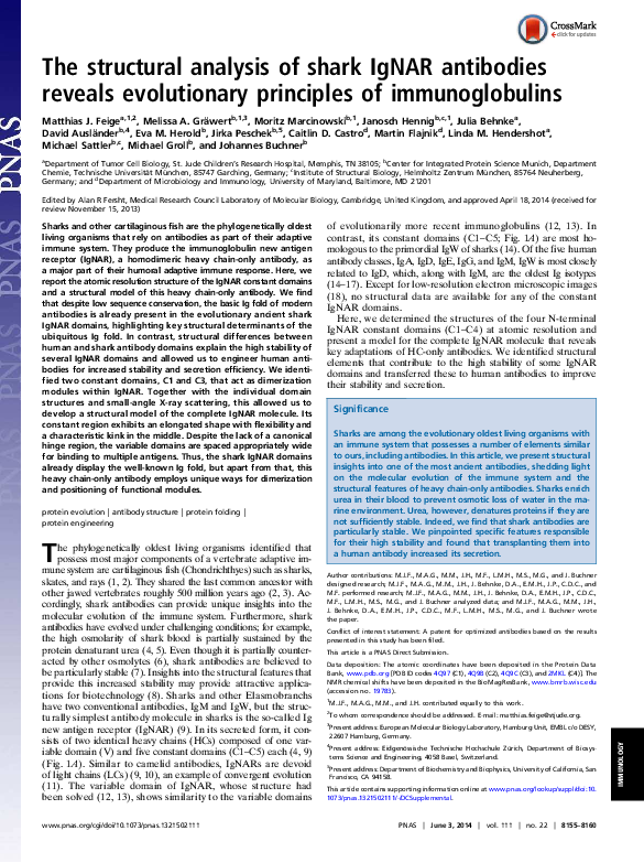 (PDF) The structural analysis of shark IgNAR antibodies reveals ...