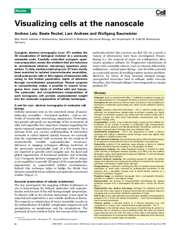 (PDF) Visualizing cells at the nanoscale
