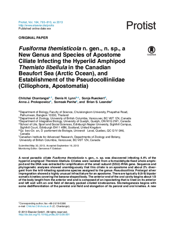 (PDF) Fusiforma themisticola n. gen., n. sp., a New Genus and Species ...