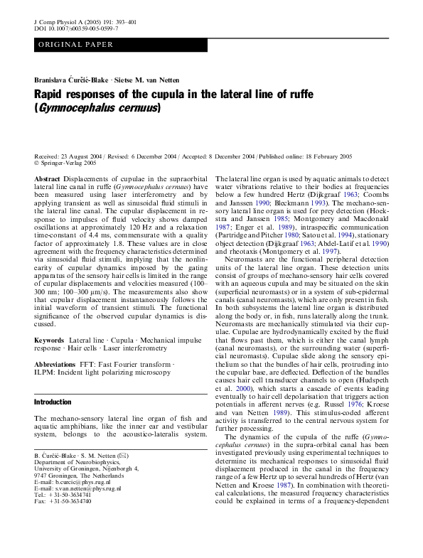 (PDF) Rapid responses of the cupula in the lateral line of ruffe ...