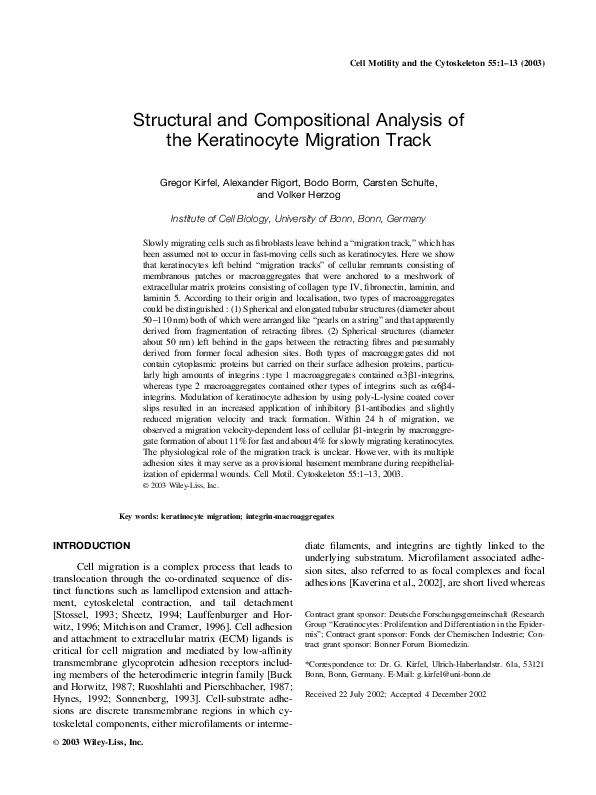 (PDF) Structural and compositional analysis of the keratinocyte migration track