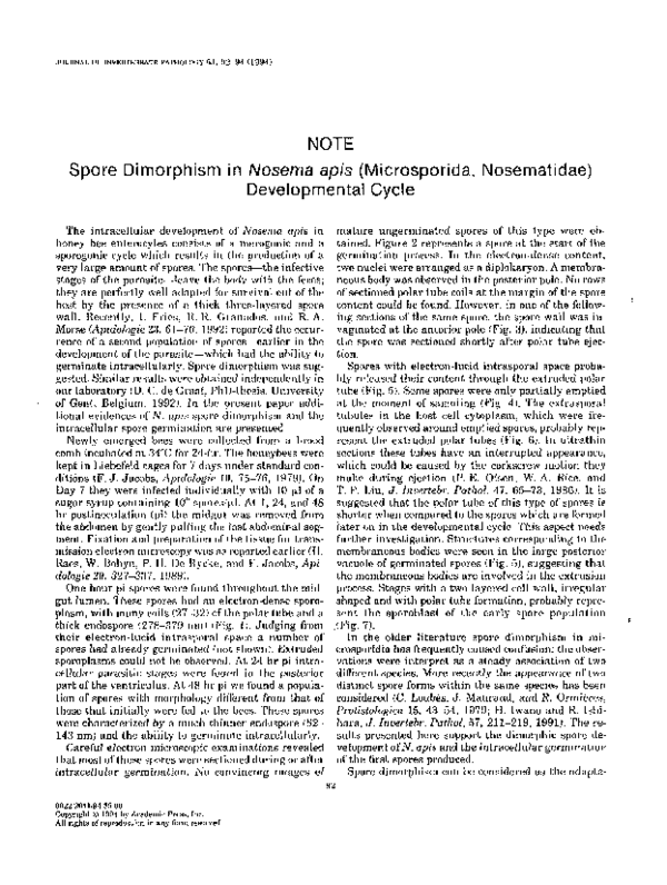 (PDF) Spore Dimorphism in Nosema apis (Microsporida, Nosematidae ...