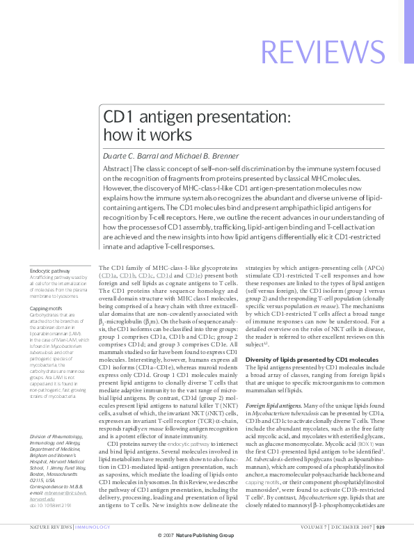 (PDF) CD1 antigen presentation: how it works